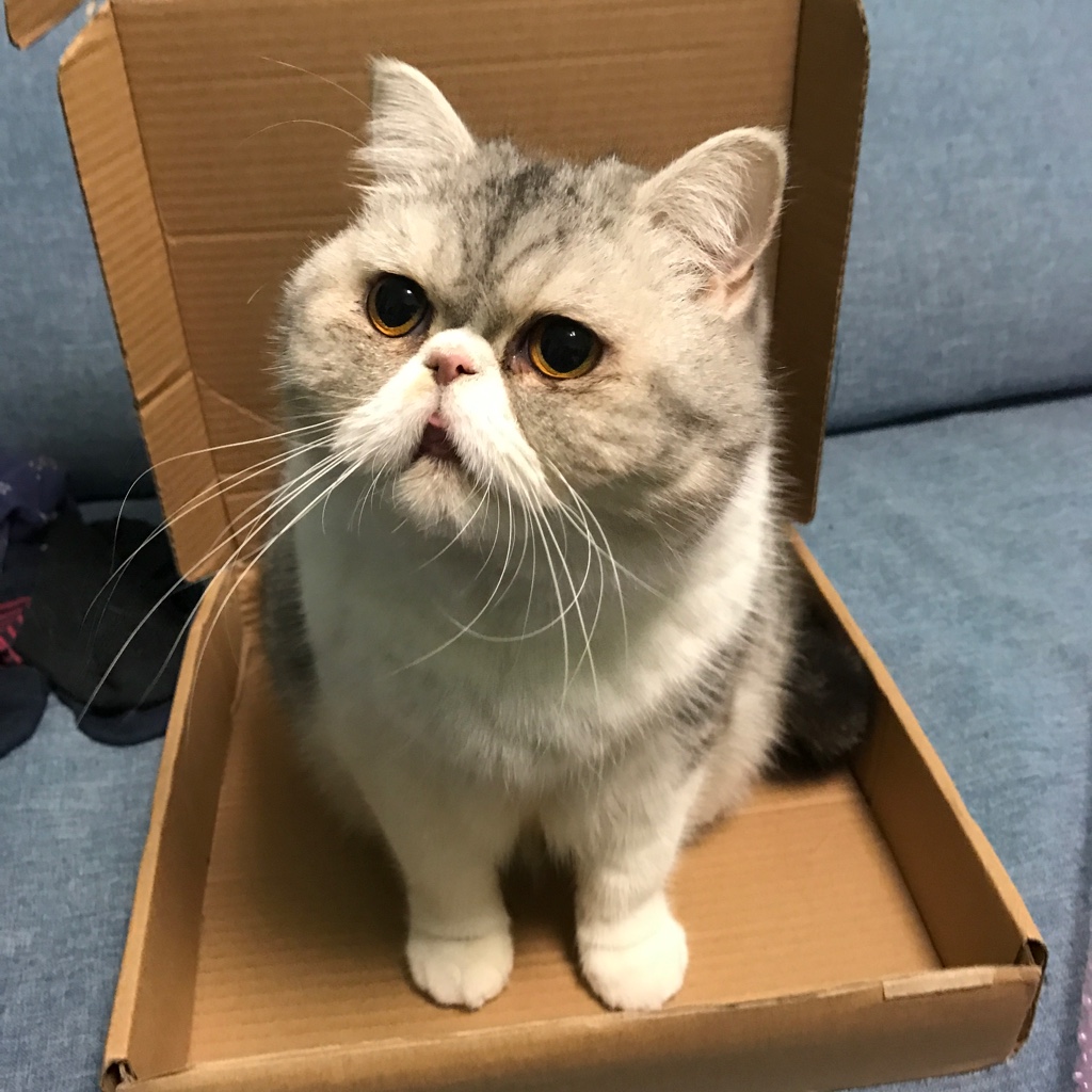 爱怜说MMD的个人空间 -AcFun弹幕视频网 - 认真你就输啦 (?ω?)ノ- ( ゜- ゜)つロ