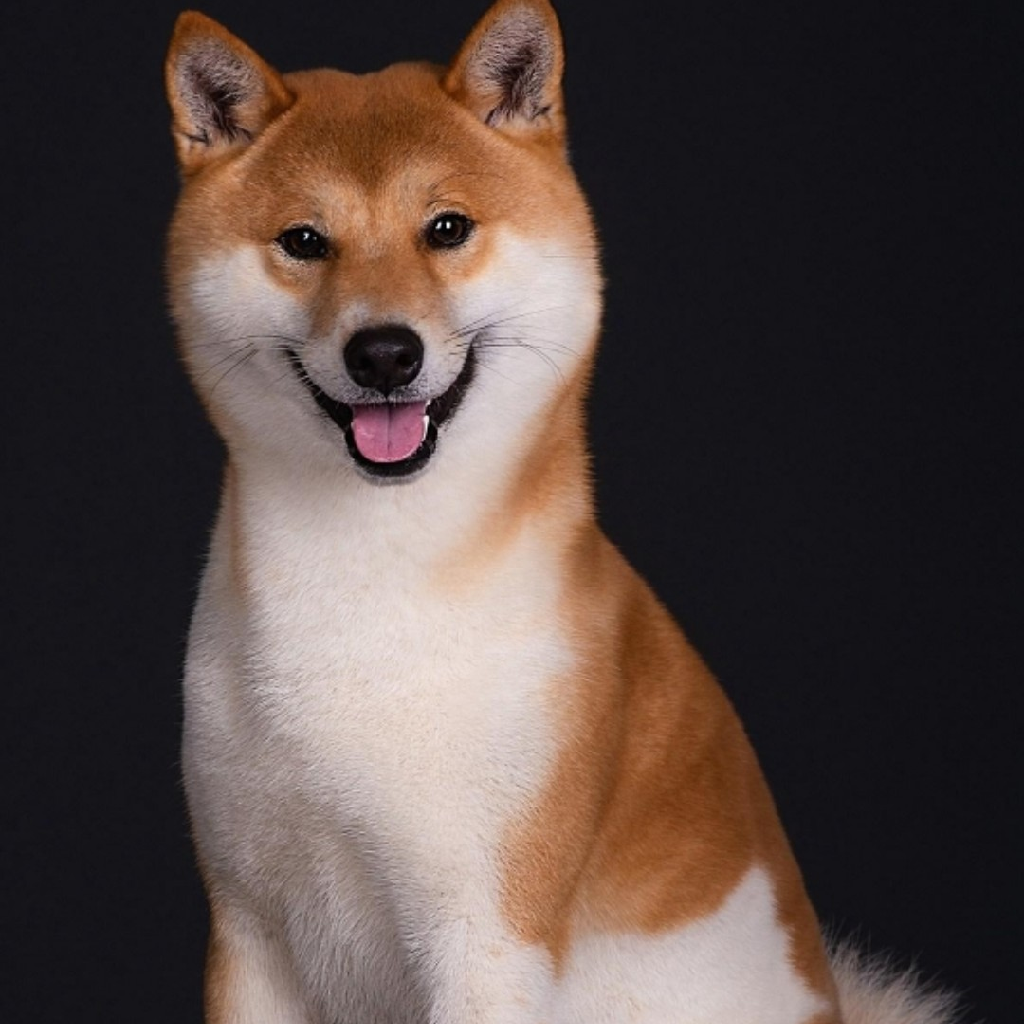 任务大师：第6话 我的星辰大海 - AcFun弹幕视频网 - 认真你就输啦 (?ω?)ノ- ( ゜- ゜)つロ