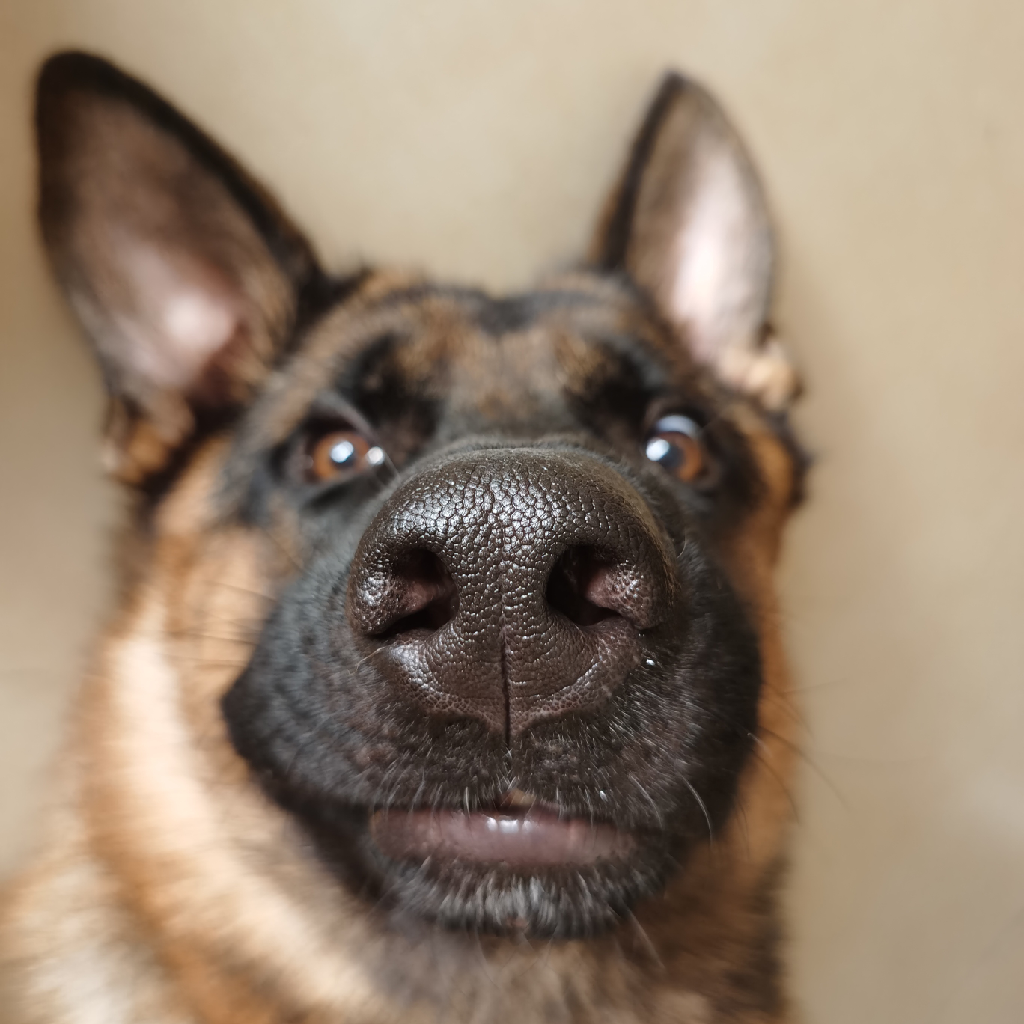 【莉莉子】秀智 Yes No Maybe 到底我的心是怎样？ - AcFun弹幕视频网 - 认真你就输啦 (?ω?)ノ- ( ゜- ゜)つロ