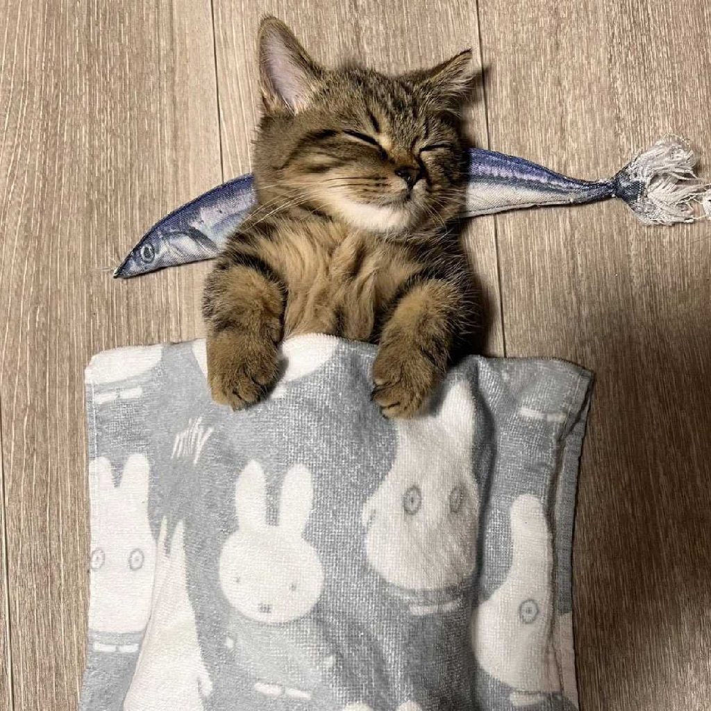 那年那兔那些事儿 第三季：第12话 - AcFun弹幕视频网 - 认真你就输啦 (?ω?)ノ- ( ゜- ゜)つロ