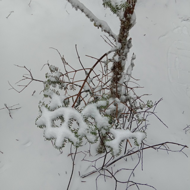 【4k修复60帧】猫和老鼠074到077集【收藏级画质】【已更新完毕】 - AcFun弹幕视频网 - 认真你就输啦 (?ω?)ノ- ( ゜- ゜)つロ